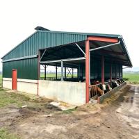 China Steel Structure Cattle Barn 6-25m Span Hot-Dip Galvanized Corrosion Resistant Dairy Beef Barn for sale