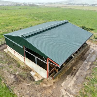 China Steel Structure Cattle Barn 6-25m Span Hot-Dip Galvanized Corrosion Resistant Dairy Beef Barn for sale
