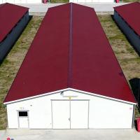 China Prefab Steel Frame Chicken House Custom Size 4-20m Span for Large Poultry Farms for sale