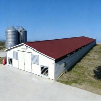 China Prefab Steel Frame Chicken House Custom Size 4-20m Span for Large Poultry Farms for sale