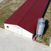China Prefab Steel Frame Chicken House Custom Size 4-20m Span for Large Poultry Farms for sale