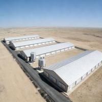 China Install a durable steel-structured chicken house equipped with a ventilation and insulation system for sale