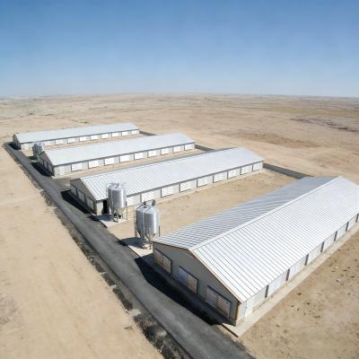 China Install a durable steel-structured chicken house equipped with a ventilation and insulation system for sale