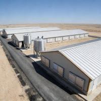 China Install a durable steel-structured chicken house equipped with a ventilation and insulation system for sale