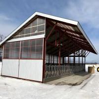 China Open-plan large steel structure cowshed convenient for cattle movement and feeding management for sale