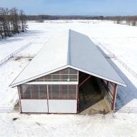 China Open-plan large steel structure cowshed convenient for cattle movement and feeding management for sale