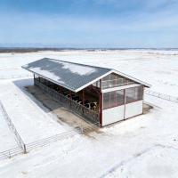 China Open-plan large steel structure cowshed convenient for cattle movement and feeding management for sale