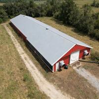 China Large Span Steel Structure Chicken house Customizable for Poultry Farming for sale