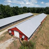 China Large Span Steel Structure Chicken house Customizable for Poultry Farming for sale