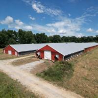China Large Span Steel Structure Chicken house Customizable for Poultry Farming for sale