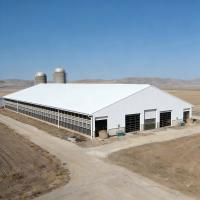 China Customizable Multi-Bay Steel Structure Cow Shed for Commercial Ranch for sale