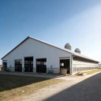 China Customizable Multi-Bay Steel Structure Cow Shed for Commercial Ranch for sale