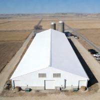 China Customizable Multi-Bay Steel Structure Cow Shed for Commercial Ranch for sale