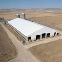 China Customizable Multi-Bay Steel Structure Cow Shed for Commercial Ranch for sale
