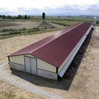 China Hot-Dip Galvanized Steel Chicken House 80μm Zinc Coating 15-20 Year Lifespan for sale