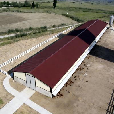 China Hot-Dip Galvanized Steel Chicken House 80μm Zinc Coating 15-20 Year Lifespan for sale