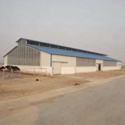 China Hot Dip Galvanized Steel Cattle Barn 6-25m Span Modular Livestock Shed for sale