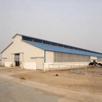 China Hot Dip Galvanized Steel Cattle Barn 6-25m Span Modular Livestock Shed for sale