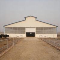 China Hot Dip Galvanized Steel Cattle Barn 6-25m Span Modular Livestock Shed for sale