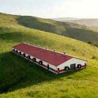 China Large Span Steel Structure Chicken House Customizable for Poultry Farming Layer Breeding for sale