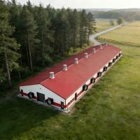 China Large Span Steel Structure Chicken House Customizable for Poultry Farming Layer Breeding for sale
