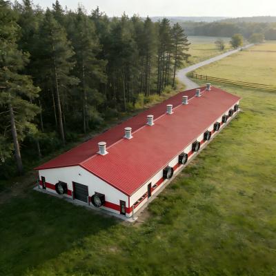 China Large Span Steel Structure Chicken House Customizable for Poultry Farming Layer Breeding for sale