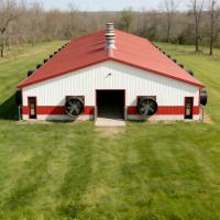China Large Span Steel Structure Chicken House Customizable for Poultry Farming Layer Breeding for sale