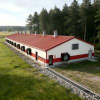 China Large Span Steel Structure Chicken House Customizable for Poultry Farming Layer Breeding for sale