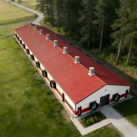 China Large Span Steel Structure Chicken House Customizable for Poultry Farming Layer Breeding for sale