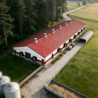 China Large Span Steel Structure Chicken House Customizable for Poultry Farming Layer Breeding for sale