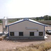 China Large Span Steel Structure Chicken House Customizable for Poultry Farming Layer Breeding Single Barn Custom for sale
