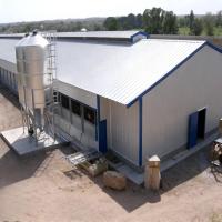 China Large Span Steel Structure Chicken House Customizable for Poultry Farming Layer Breeding Single Barn Custom for sale