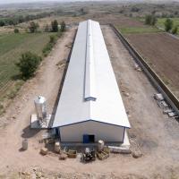 China Large Span Steel Structure Chicken House Customizable for Poultry Farming Layer Breeding Single Barn Custom for sale