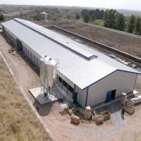 China Large Span Steel Structure Chicken House Customizable for Poultry Farming Layer Breeding Single Barn Custom for sale