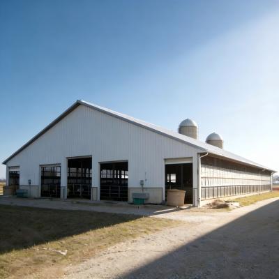 China Large Span Steel Structure Chicken House Customizable for Poultry Farming Layer Breeding Poultry Shed Customization for sale