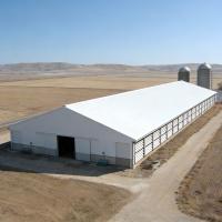 China Large Span Steel Structure Chicken House Customizable for Poultry Farming Layer Breeding Poultry Shed Customization for sale