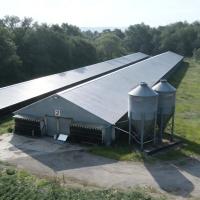 China Large Span Steel Structure Chicken House Customizable for Poultry Farming Layer Breeding Connected Barn Custom for sale