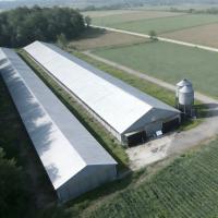 China Large Span Steel Structure Chicken House Customizable for Poultry Farming Layer Breeding Connected Barn Custom for sale