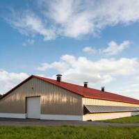 China Economical Steel Structure Chicken House Prefabricated Livestock Shed Fire-Retardant 4-20m Span for sale