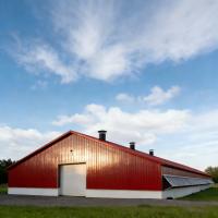 China Economical Steel Structure Chicken House Prefabricated Livestock Shed Fire-Retardant 4-20m Span for sale