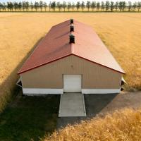 China Economical Steel Structure Chicken House Prefabricated Livestock Shed Fire-Retardant 4-20m Span for sale