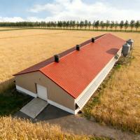 China Economical Steel Structure Chicken House Prefabricated Livestock Shed Fire-Retardant 4-20m Span for sale