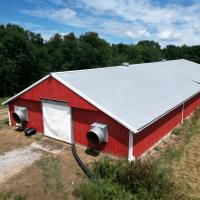 China Hot Dip Galvanized Steel Poultry House Column Free Chicken Coop 4-20m Span for sale