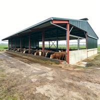 China Fireproof Anti-Corrosion Steel Structure Cattle Barn 6-25m Span Hot-Dip Galvanized Livestock Farm for sale