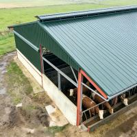 China Fireproof Anti-Corrosion Steel Structure Cattle Barn 6-25m Span Hot-Dip Galvanized Livestock Farm for sale