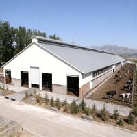 China Fireproof Anti-Corrosion Steel Structure Cattle Barn 6-25m Span for Dairy Cow Breeding for sale