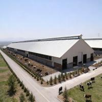 China Fireproof Anti-Corrosion Steel Structure Cattle Barn 6-25m Span for Dairy Cow Breeding for sale