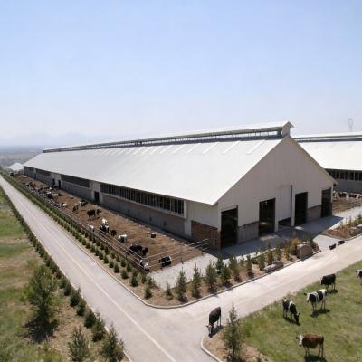 China Fireproof Anti-Corrosion Steel Structure Cattle Barn 6-25m Span for Dairy Cow Breeding for sale