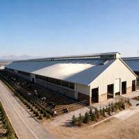 China Fireproof Anti-Corrosion Steel Structure Cattle Barn 6-25m Span for Dairy Cow Breeding for sale