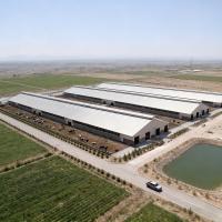 China Fireproof Anti-Corrosion Steel Structure Cattle Barn 6-25m Span for Dairy Cow Breeding for sale